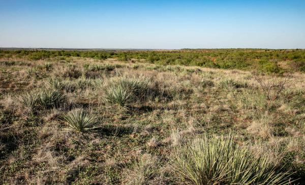 King County Big Pasture Ranch | Chas S. Middleton