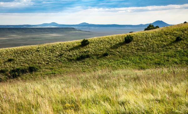 Laughlin Peak Ranch | Chas S. Middleton